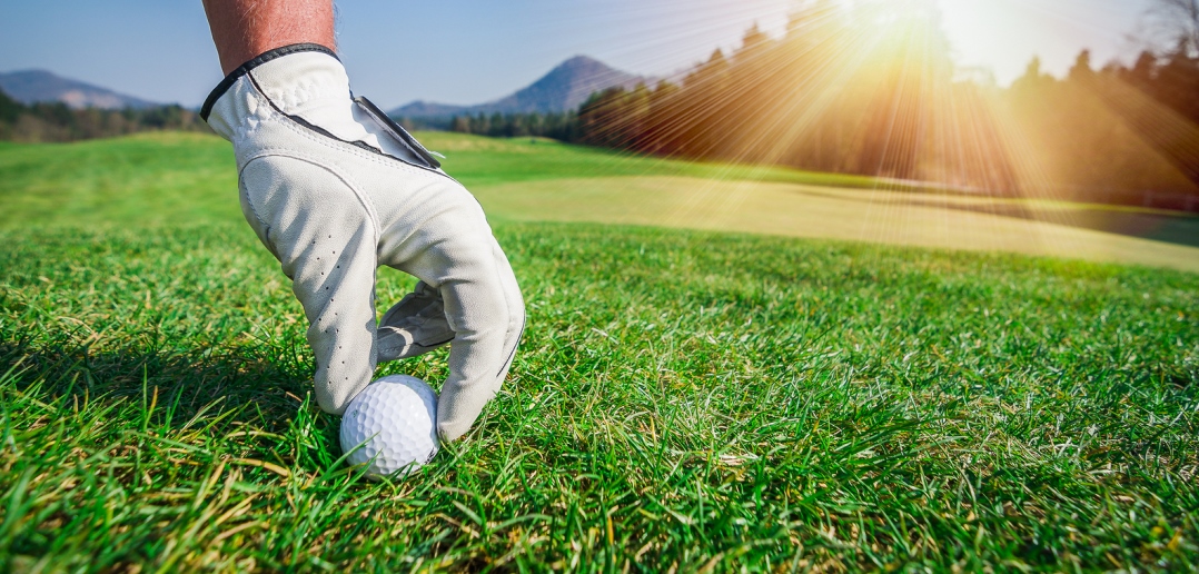 Denise Michaels: January 2017 Barefoot Writing Challenge Winner